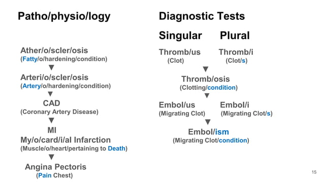 Medical_Terminology_Cardiovascular.ppt | Heart and Cardiovascular ...