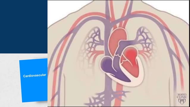 Medical_Terminology_Cardiovascular.ppt | Heart and Cardiovascular Diseases | Diseases and Conditions