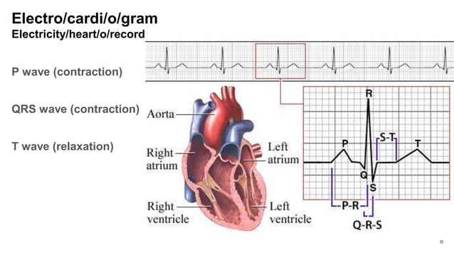 Medical_Terminology_Cardiovascular.ppt | Heart and Cardiovascular ...