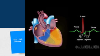 Medical_Terminology_Cardiovascular.ppt