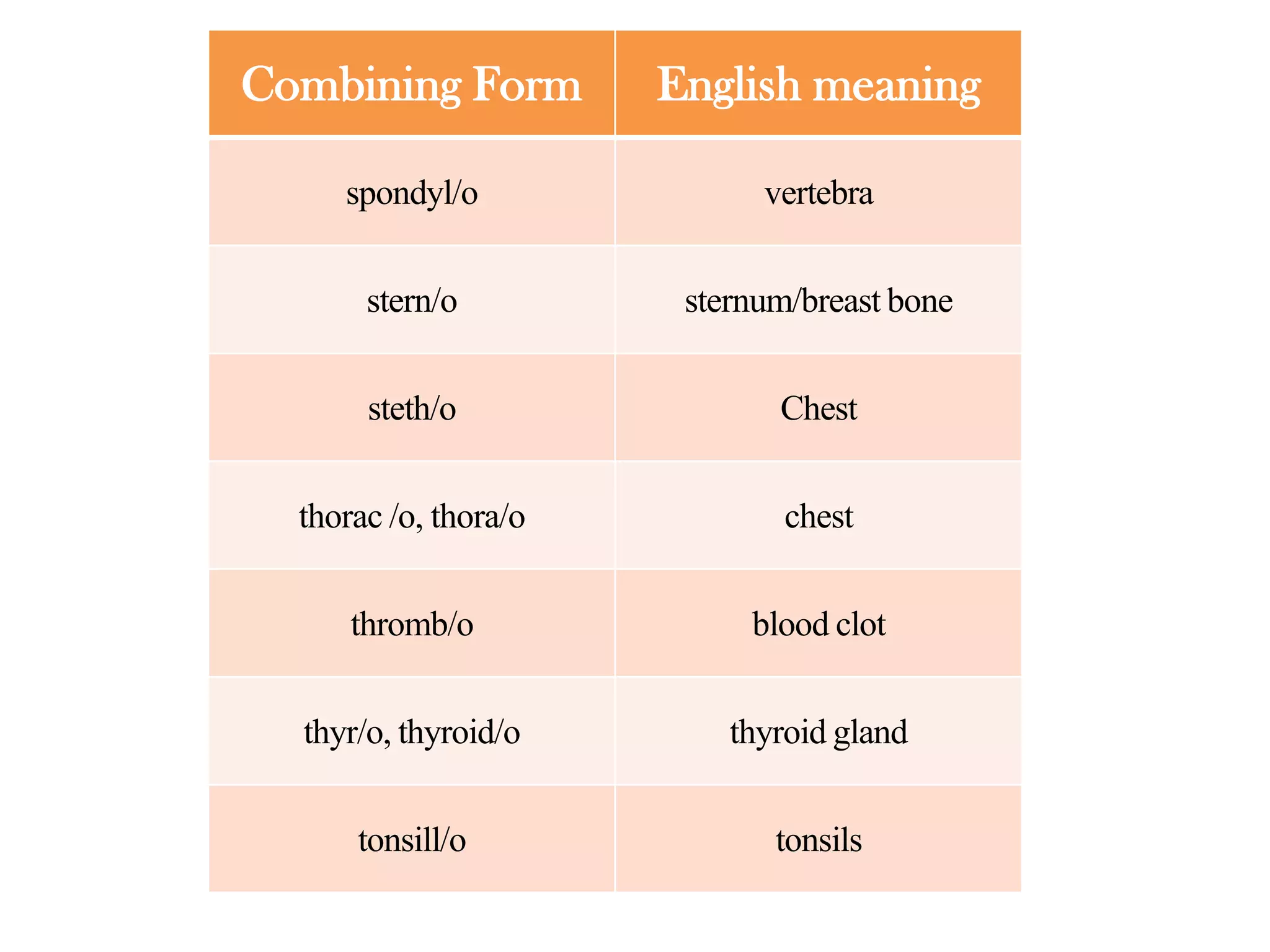 Medical terminology;combining forms | PPSX