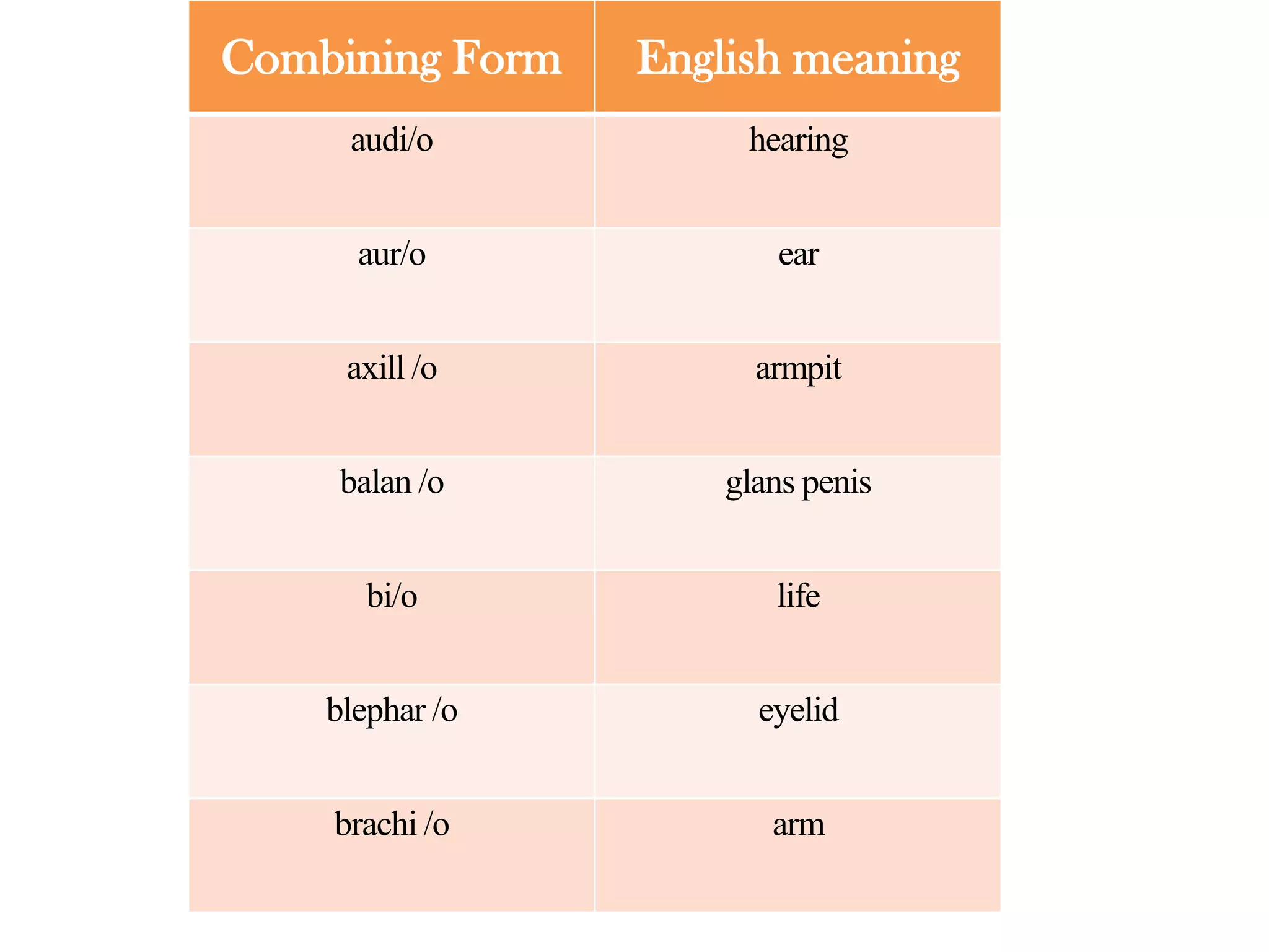 Medical Terminology Combining Forms Ppt