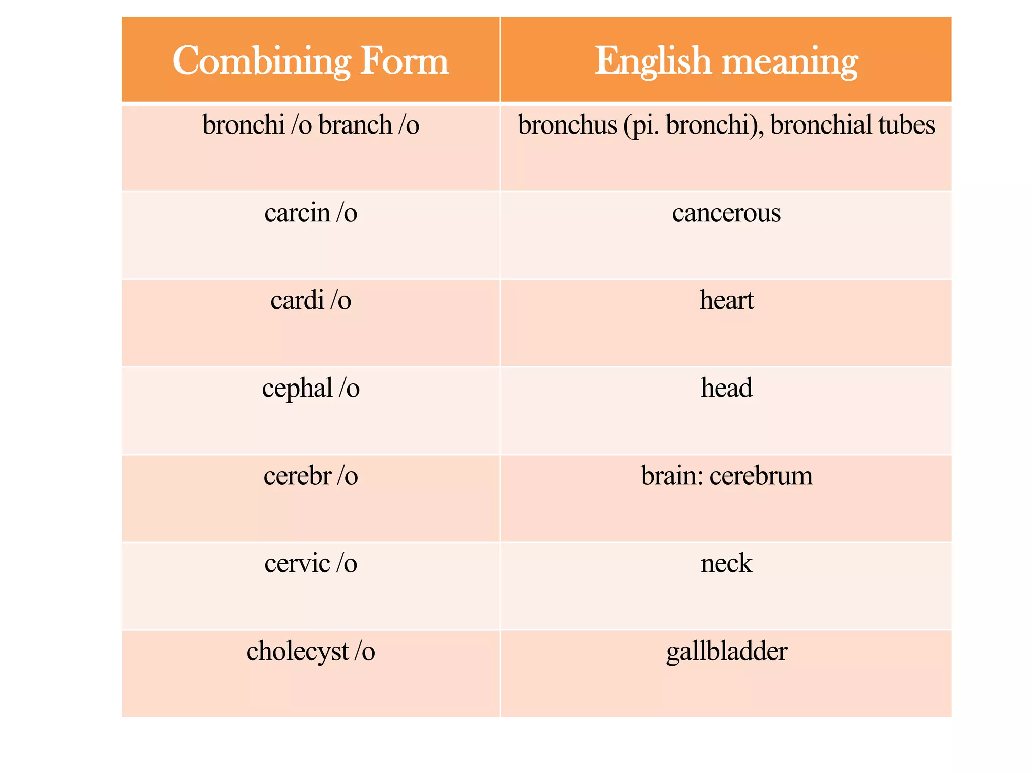 Medical Terminology Combining Forms Ppt