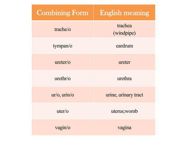 Medical terminology;combining forms | PPT