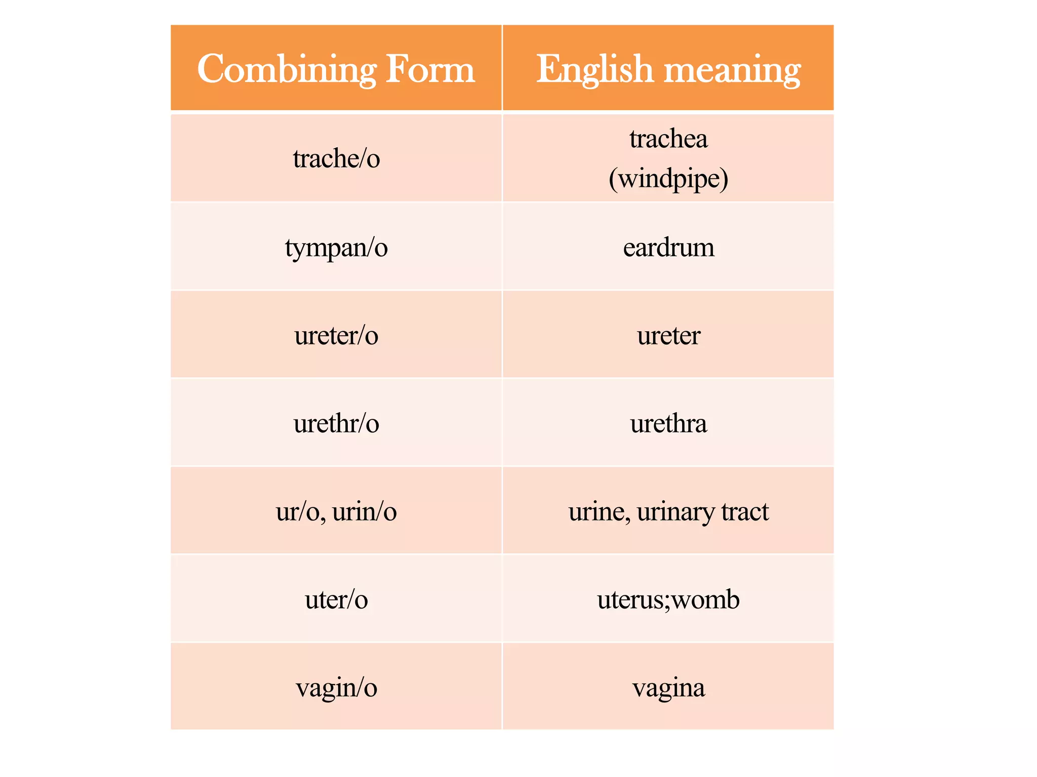 Medical terminology;combining forms | PPSX