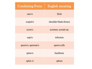 Medical terminology;combining forms | PPSX