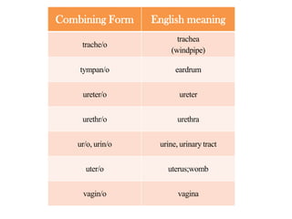Medical terminology;combining forms | PPSX