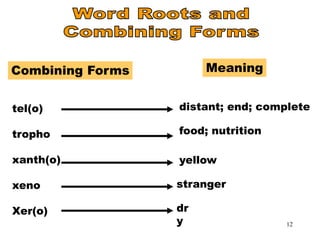 Medical Terminology | PPT