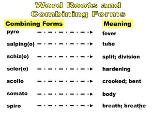 Medical Terminology | PPT