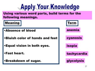 Medical Terminology | PPT