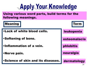 Medical Terminology | PPT