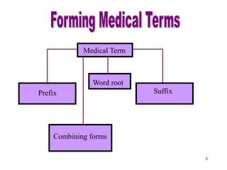 Medical Terminology | PPT