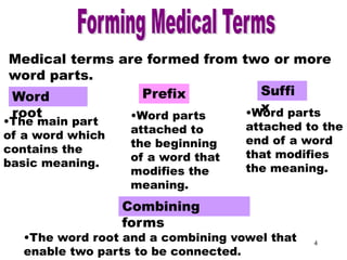 Medical Terminology | PPT