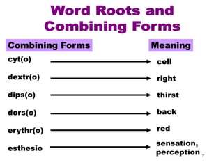 Medical Terminology | PPT