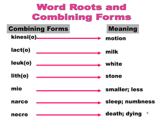 Medical Terminology | PPT