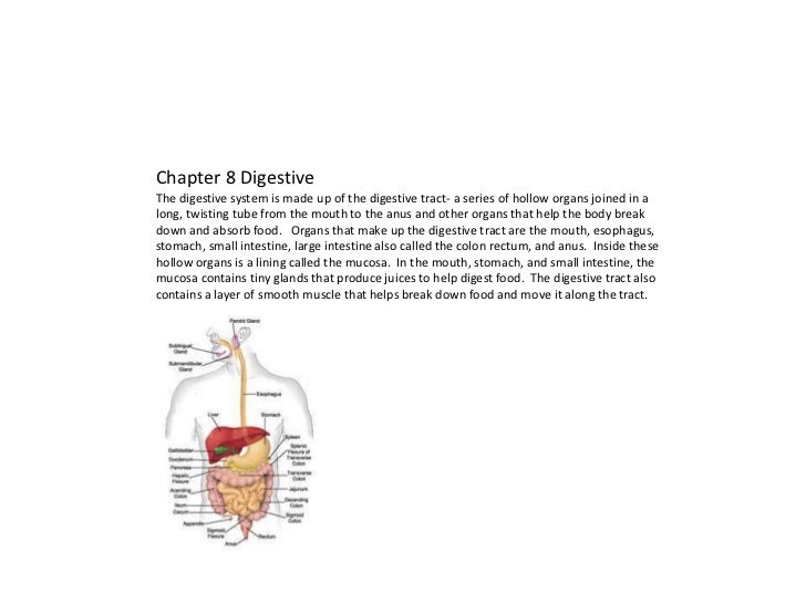 Medical terminology is a vocabulary for accurately describing
