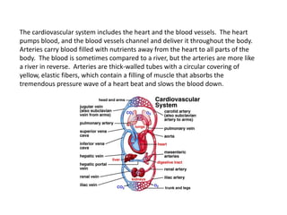 Medical terminology is a vocabulary for accurately describing | PPT