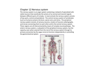 Medical terminology is a vocabulary for accurately describing | PPT