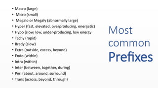 Introduction to Medical Terminology and how to understand it | PPTX