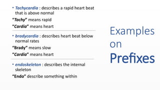Introduction to Medical Terminology and how to understand it | PPTX