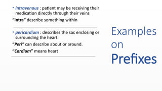 Introduction to Medical Terminology and how to understand it | PPTX ...