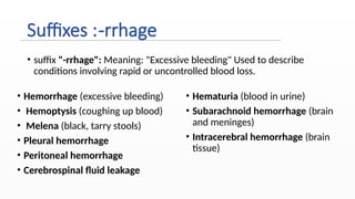 Medical Terminology: Suffixes General Concept and Review of the Most ...