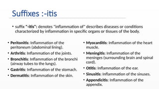Medical Terminology: Suffixes General Concept and Review of the Most ...