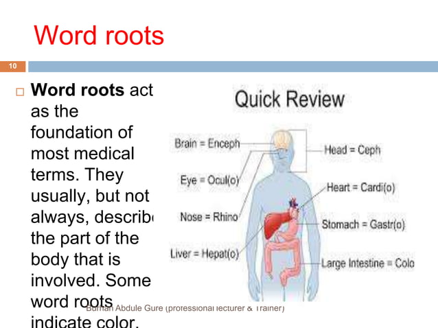 introduction to medical terminology | PPSX