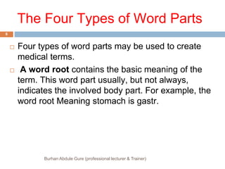 introduction to medical terminology | PPSX