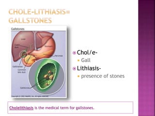Medical Terminology by Mallory Shelly | PPTX