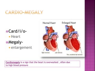Medical Terminology by Mallory Shelly | PPTX