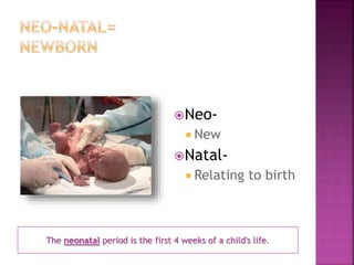 Medical Terminology by Mallory Shelly | PPTX