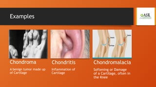 MEDICAL TERMINOLOGY - Prefix - Chondro , Cutaneo | PPT