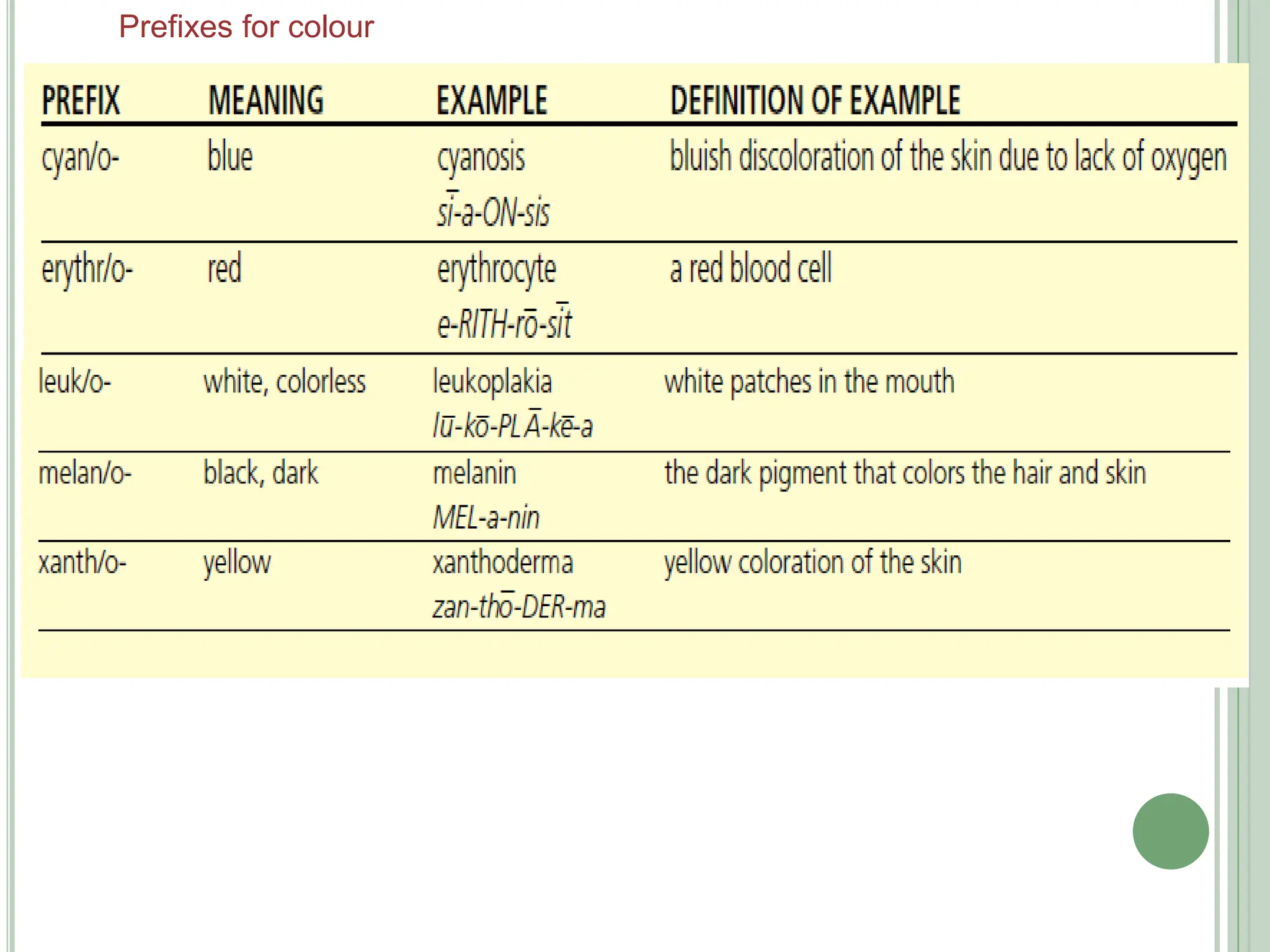 Presentation Medical terminology prefix,suffix.pptx