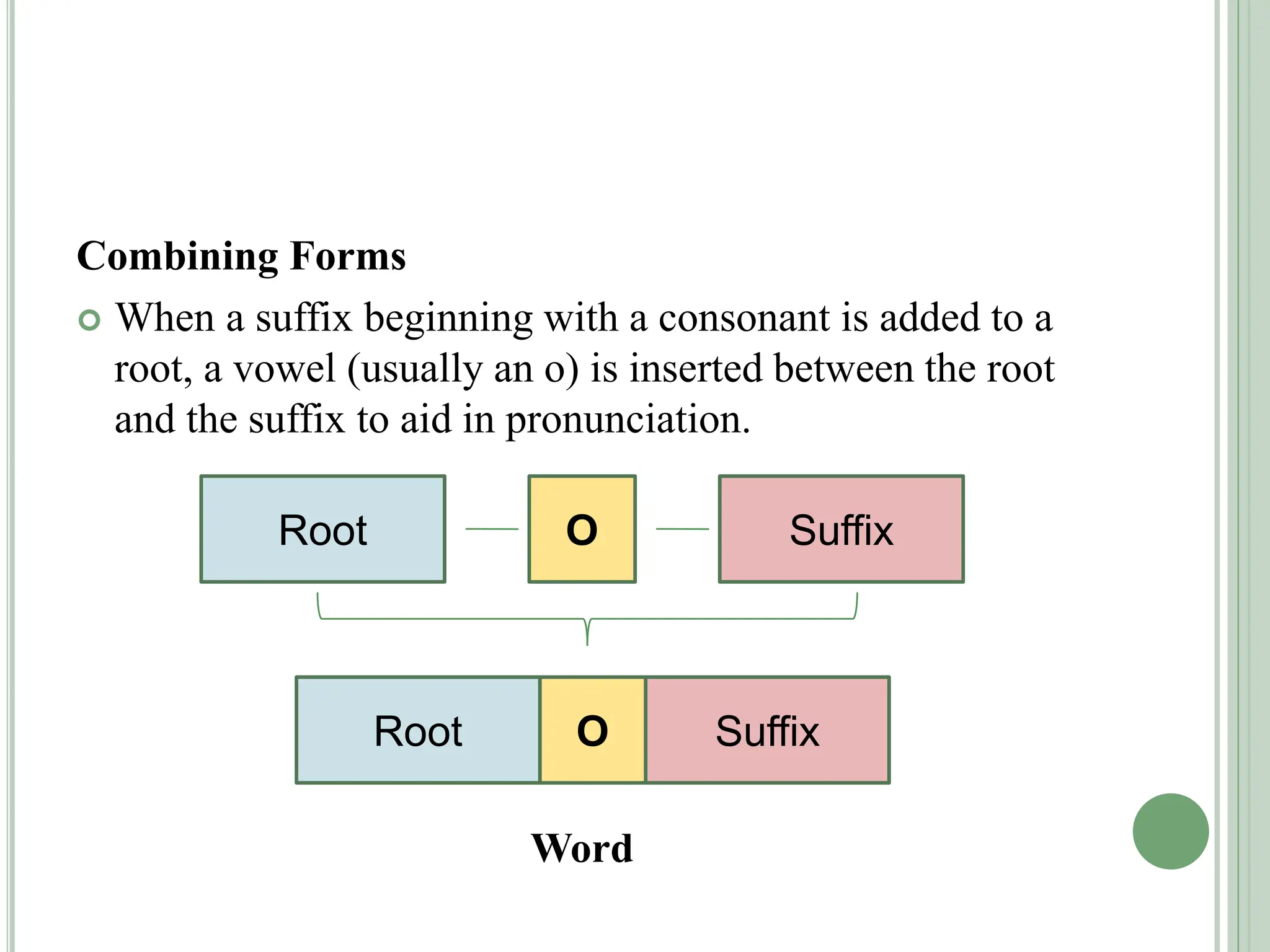 Presentation Medical terminology prefix,suffix.pptx | Bone and Joint ...