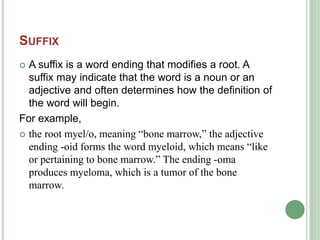 Presentation Medical terminology prefix,suffix.pptx