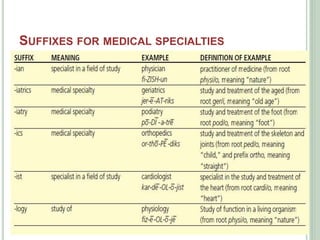 Presentation Medical terminology prefix,suffix.pptx