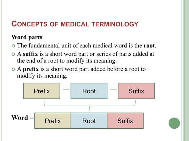 Presentation Medical terminology prefix,suffix.pptx | Bone and Joint ...