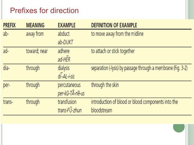 Presentation Medical terminology prefix,suffix.pptx | Bone and Joint ...