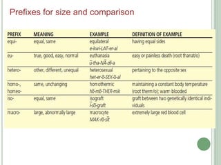 Presentation Medical terminology prefix,suffix.pptx