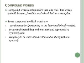 Presentation Medical terminology prefix,suffix.pptx