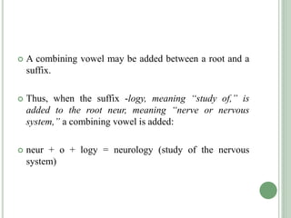 Presentation Medical terminology prefix,suffix.pptx