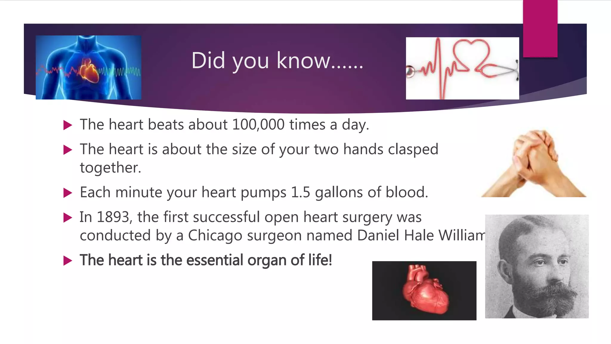 Medical Terminology Presentation 1: The Heart | PPTX