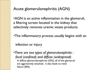 Medical terminology presentation 10 | PPT | Medical Tests | Medical Health