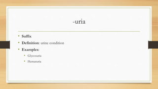Medical Terminology Presentation 2: Suffixes | PPTX