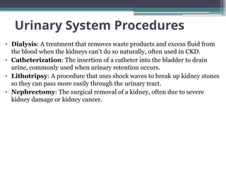 Medical Terminology Urinary System-1.pptx