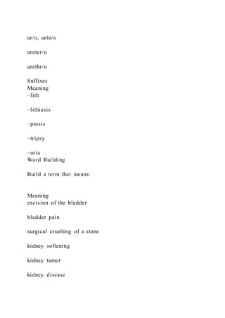 Medical Terminology Urinary SystemPT116 Unit 5 Assignment | DOCX