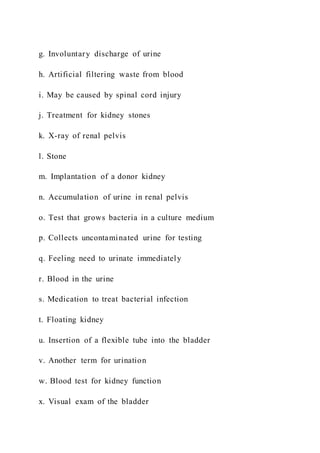 Medical Terminology Urinary SystemPT116 Unit 5 Assignment | DOCX
