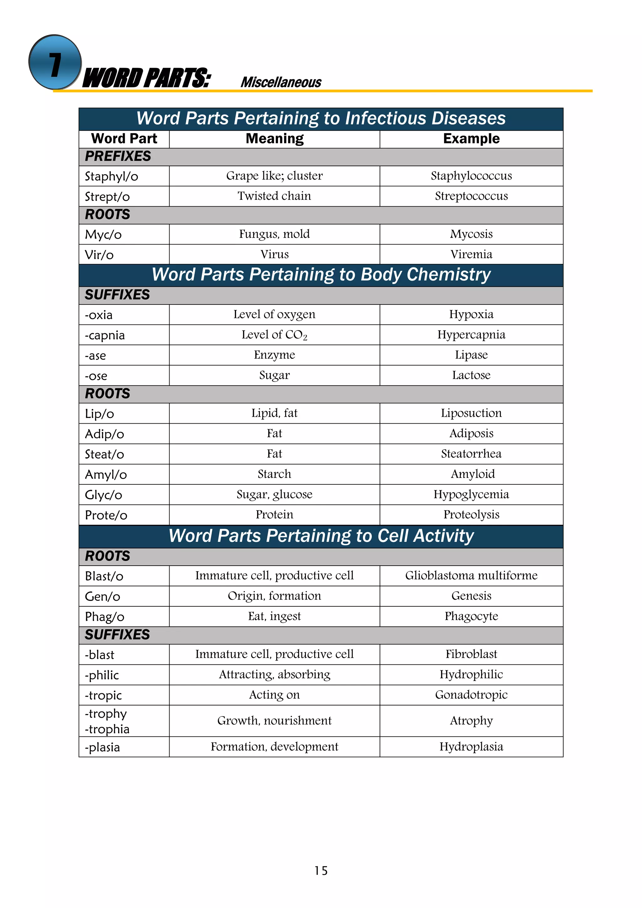 Medical Terminology Part 1; Prefixes, Suffixes, Combining Forms | PDF