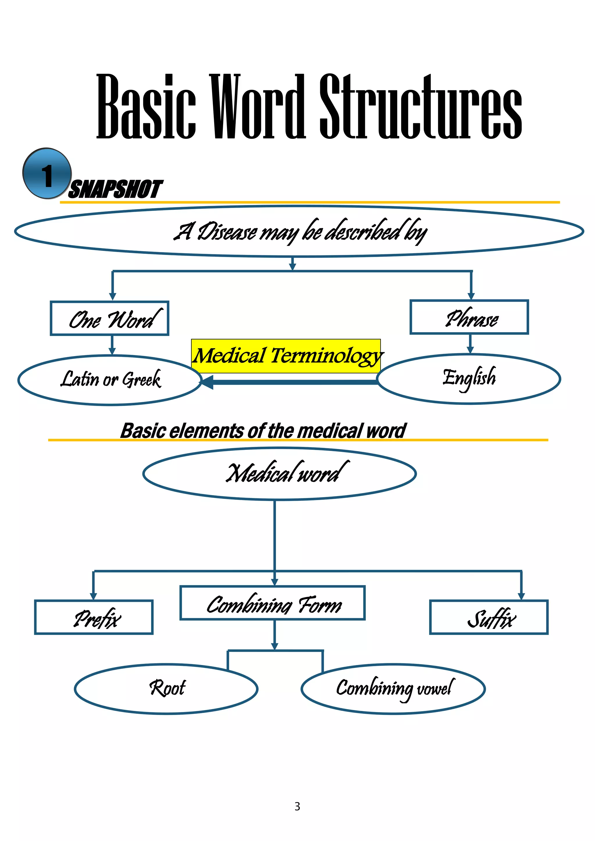 Medical Terminology Part 1; Prefixes, Suffixes, Combining Forms | PDF